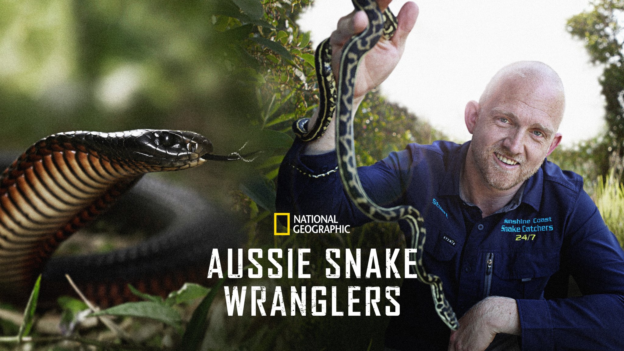 The Snake Catcher Sunshine Coast - The Snake Catcher - 24/7